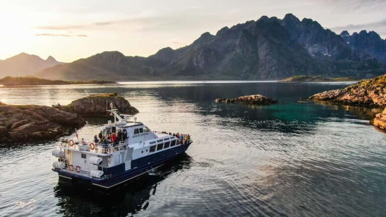 From Svolvær: Lofoten Trollfjord Cruise & Sea Eagle Safari - Who Should Consider This Tour?