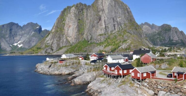 From Svolvaer: Private Lofoten Islands Tour with Transfer - What You’ll See and Do