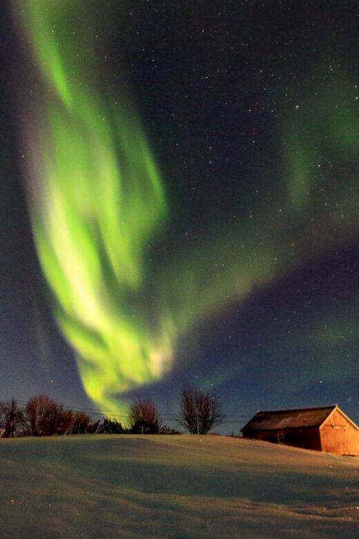 From Svolvaer: Private Northern Lights Search Trip - Final Thoughts: Is It Worth It?