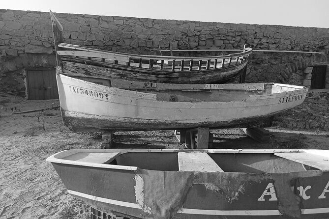 From Torrevieja to Tabarca, Santa Pola and entrance to the Pink Lagoon - Who Should Book This Tour?