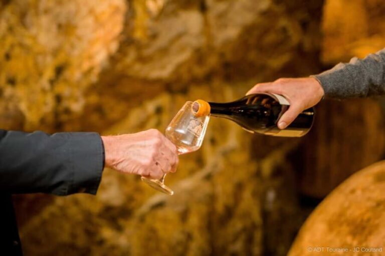 From Tours or Amboise: Loire Valley Wine Tour - A Detailed Look at the Loire Valley Wine Tour