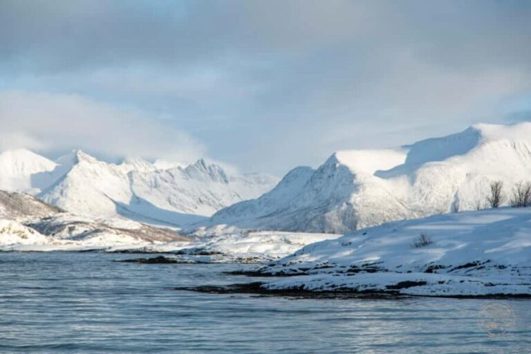 From Tromsø: Arctic Roadtrip Small Group 4x4 Van - What Reviewers Say: Real Experiences