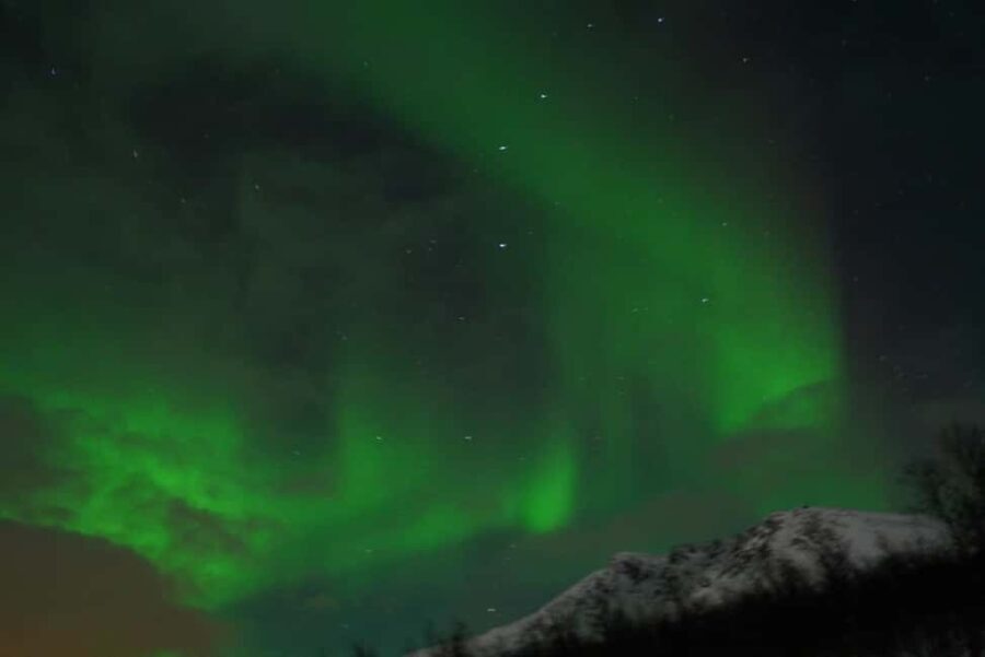 From Tromsø: Aurora Bus Tour with Snacks, Photos, and Drinks - Who Is This Tour Best For?