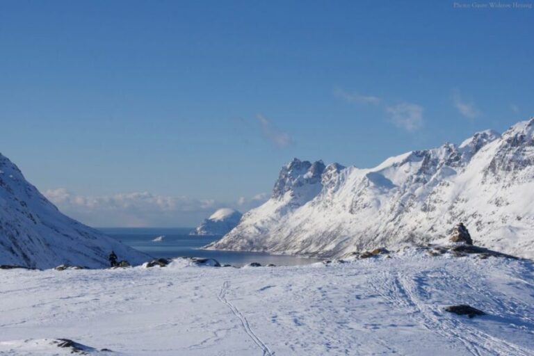 From Tromsø: Daytime Snowshoe Experience with stunning views - What to Expect During the Hike