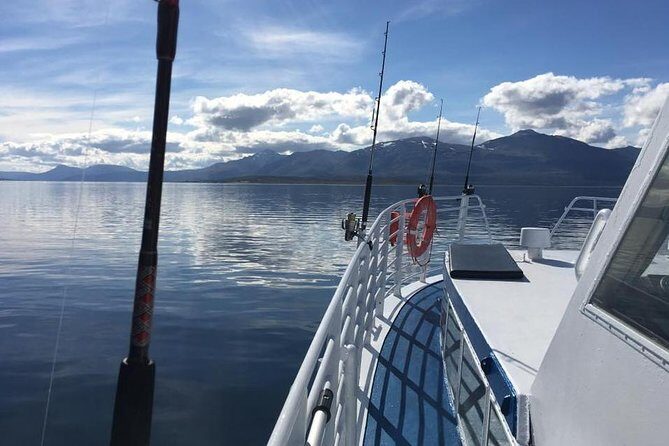 From Tromsø: Polar Fishing Adventure - The Real Deal—Authentic Reviews