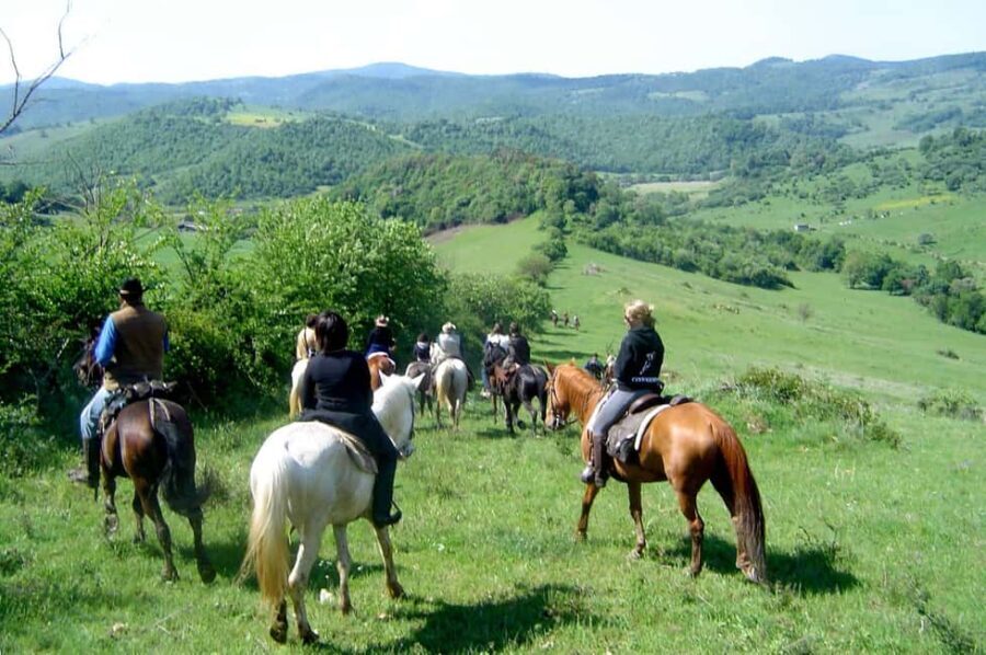 From Tropea: Horseback Riding Tour with Picnic in Francica - FAQ