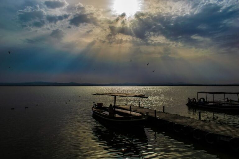 From Valencia: Albufera Boat Ride, Sunset & Paella Included - What Travelers Are Saying