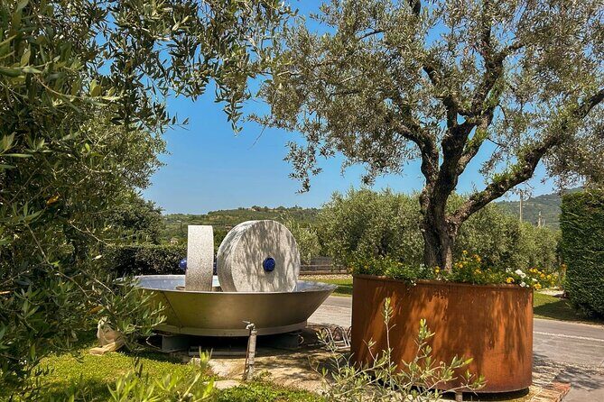From Venice: Olive Oil & Wine Tour in the Venetian Hills - Exploring the Itinerary in Detail