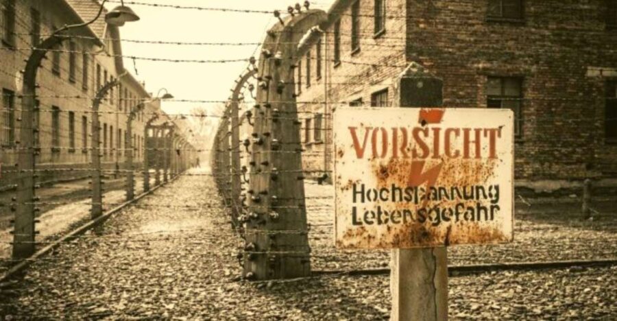 From Warsaw: Auschwitz-Birkenau Small Group Tour with Lunch - Who Is This Tour Best Suited For?