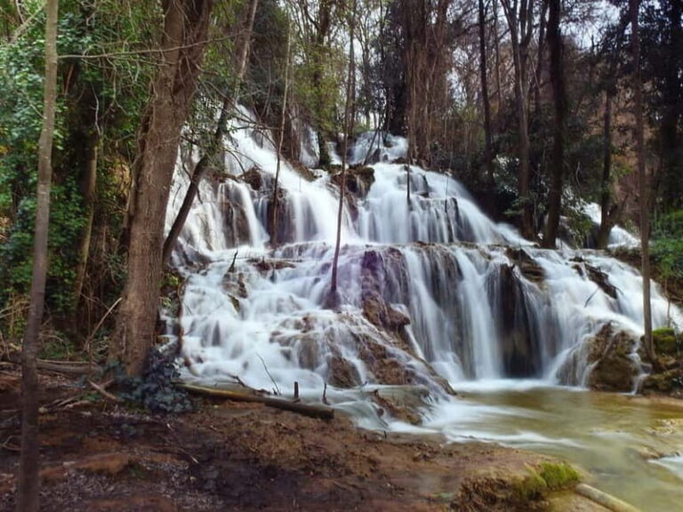 From Zadar: Krka National Park Full-Day Tour from Zadar - Exploring the Itinerary and What You Can Expect