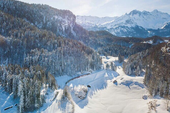 From Zurich: Premium Panoramic Train, Lucerne & Interlaken Alps - Why is this tour a great deal?