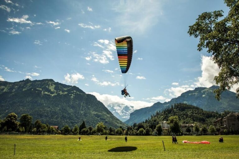 From Zurich: Scenic Interlaken Day Trip by Coach - Why This Tour Offers Great Value