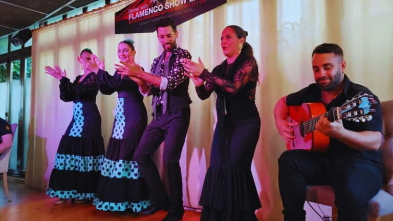 Fuengirola: Flamenco Show at Tipi Tapa Restaurant near Mijas - What to Expect During the Show