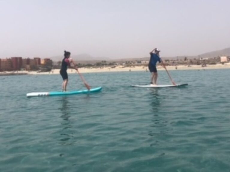 Fuerteventura: 1.5-Hour SUP Course - Caleta de Fuste - The Sum Up: Who Is This SUP Course Best For?