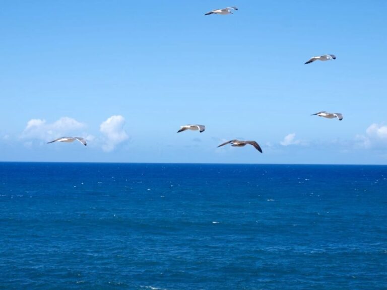 Fuerteventura sunset hike to the wild west coast - What Makes This Tour Special?