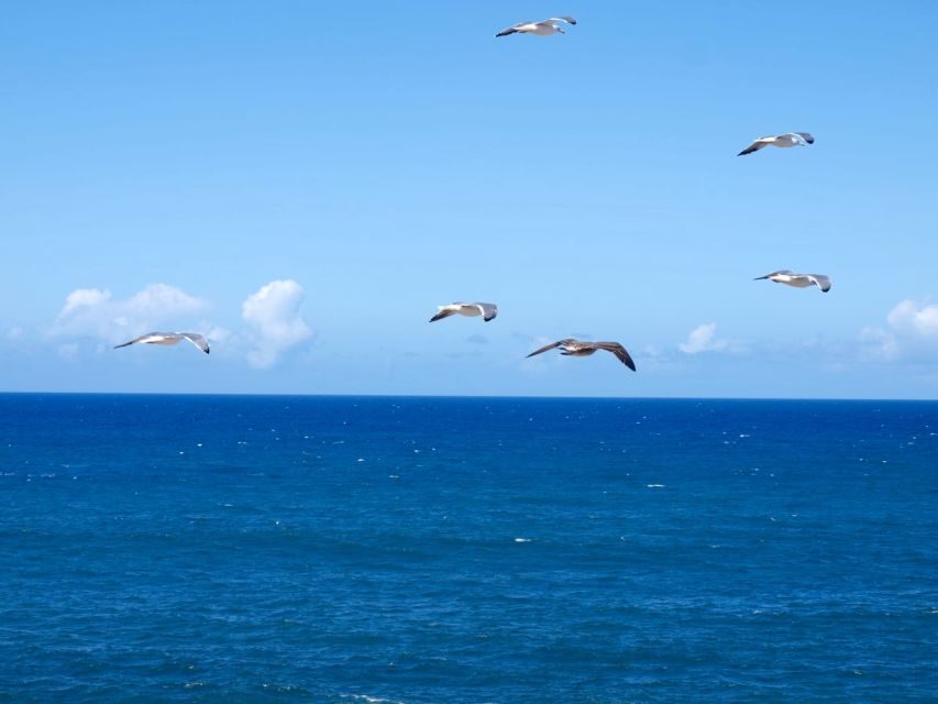 Fuerteventura sunset hike to the wild west coast - What Makes This Tour Special?