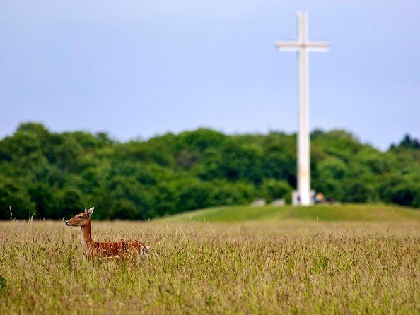 Full-day Award Winning Private Dublin City Highlights Tour - Who Will Love This Tour?
