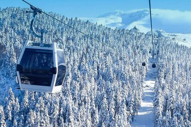 Full Day Bursa Tour from Istanbul(cable car, Lunch & transfer) - Who Is This Tour Perfect For?