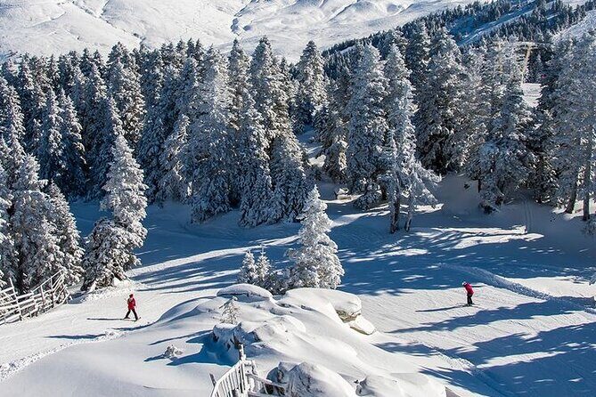 Full Day Bursa Tour with Cable Car & lunch from Istanbul - Practical Considerations & Tips