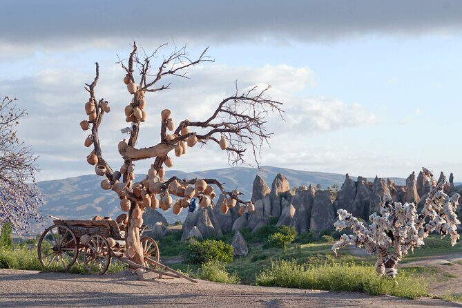 Full Day Cappadocia Red Tour (With & Without Museum and Lunch) - Final Thoughts: Who Will Love This Tour?