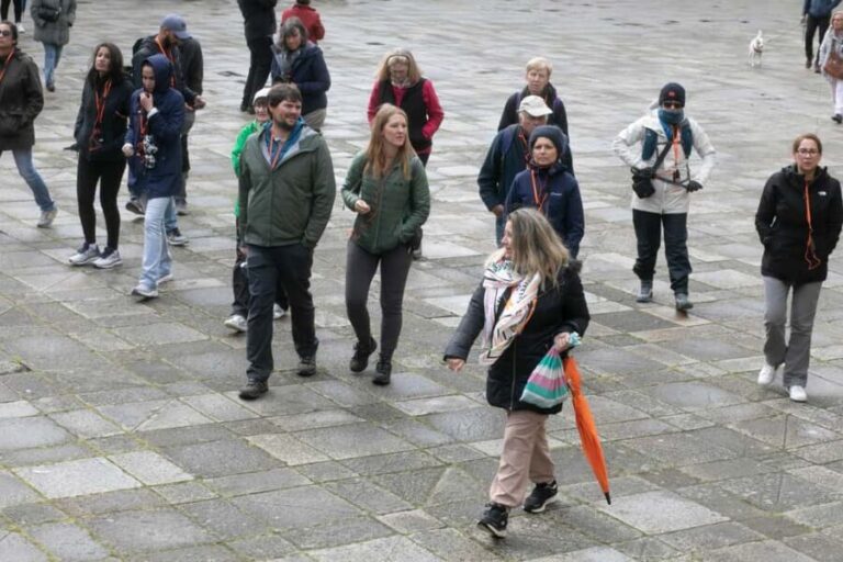 Full-Day Excursion from Vigo to Santiago - Cruisers Only - Practical Details That Matter