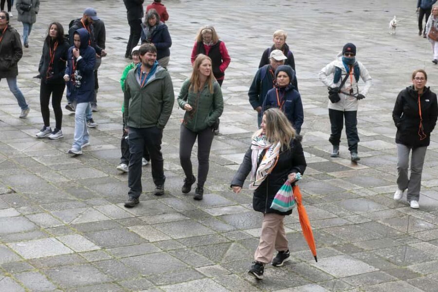 Full-Day Excursion from Vigo to Santiago - Cruisers Only - Practical Details That Matter