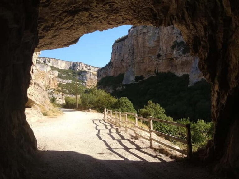 FULL DAY Excursion: Irati Forest and Ochagavía - FAQ