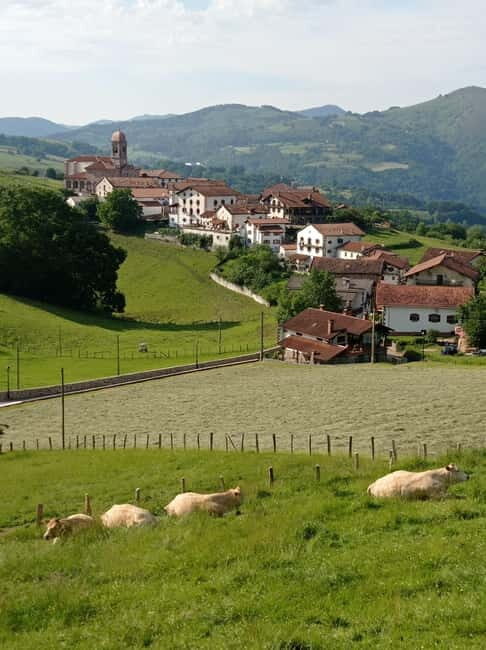 FULL DAY Excursion to the Baztan Valley, Zugarramurdi, and Señorío de Bertiz - The Witch of Zugarramurdi: History and Mystique