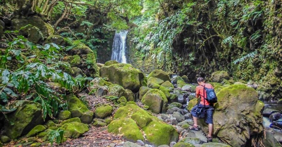 Full-Day Faial da Terra + Nordeste from Ponta Delgada - Exploring Faial da Terra and Sanguinho