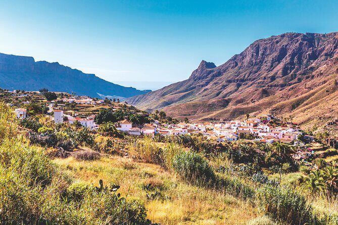 Full-Day Gran Canaria Tour with Teror, Tejeda and Lunch in Fataga - Real Traveler Experiences: The Good and the Not-So-Good