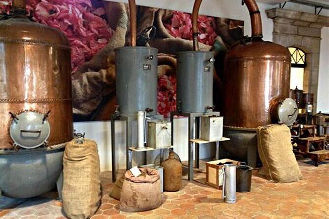 Full day Guided Tour: Monaco-Monte Carlo-Èze from Nice or Cannes - The Itinerary in Detail