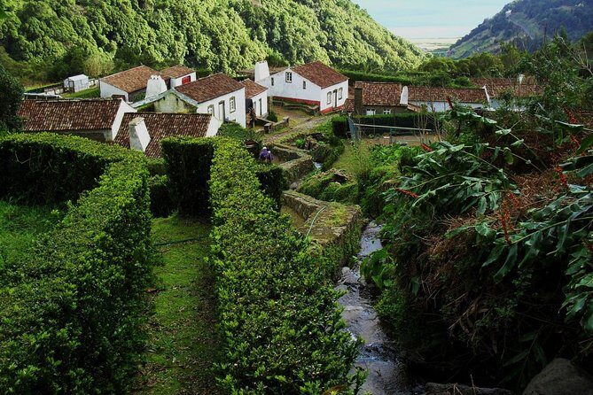 Full Day Hiking Faial da Terra (Min. 2 persons) - The Value and Practicalities