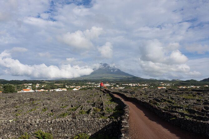 Full-Day Pico Island Tour from Horta - Final Thoughts
