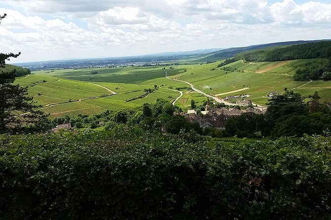 Full-day Private Burgundy Wine Route Tour from Beaune - The Itinerary and What You Can Expect
