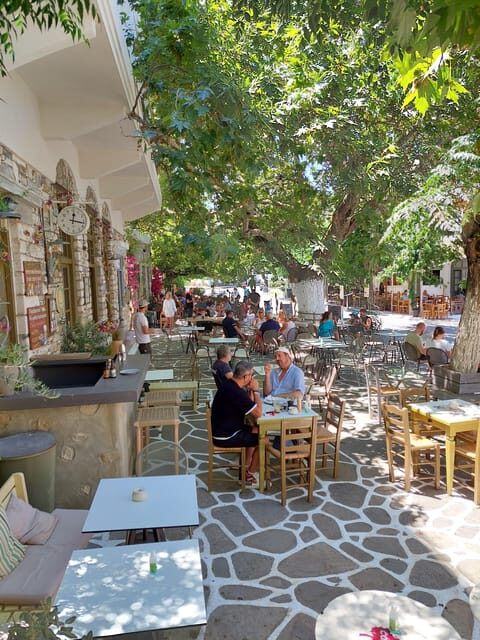 Full-Day Private food tour in Naxos local Villages - Who Should Consider This Tour?