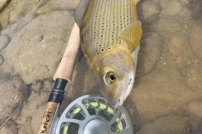 Full Day Private Guided Fishing Charter along the Isonzo Front - Whats Included and Whats Not