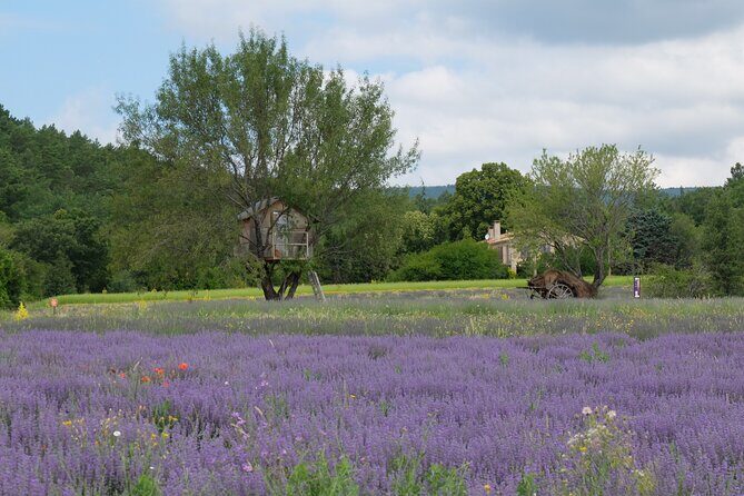 Full Day Private Tour from Avignon - Who Should Consider This Tour?