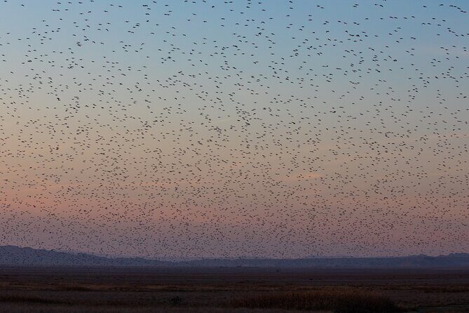 Full-Day Private Wilderness Tour in Vashlovani National Park - Final Thoughts: Is This Tour for You?
