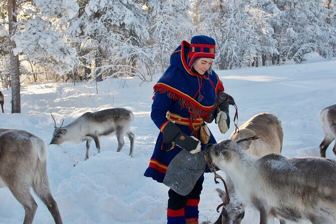 Full-Day Reindeer Tour with Pickup in Kiruna - What Makes This Tour Stand Out