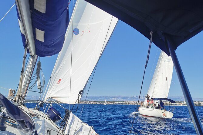 Full Day Sailing Tour To Elafiti Islands from Dubrovnik - Who Is This Tour Best For?