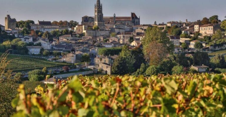 Full-day Saint-Emilion: Village, Undergrounds and Châteaux - An In-Depth Look at the Saint-Emilion Experience