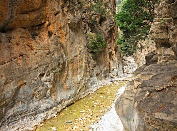 Full-Day Samaria Gorge Chania Guided Tour - The Cost and Whats Included