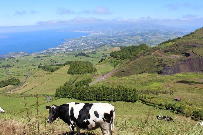 Full Day Sete Cidades and Lagoa do Fogo PRIVATE 4WD Tour with Lunch - What to Expect from the Tour Experience