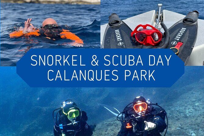 Full-Day Snorkeling and Guided Dive in the Calanques National Park from Marseille - Practical Details and What to Expect