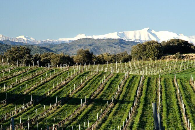 Full-day Somontano Wine Excursion and Visit Alquezar - FAQs
