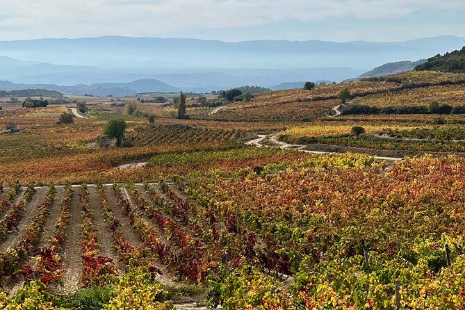 Full Day Tasting The Unknown Rioja Wine Region - Who Should Consider This Tour?