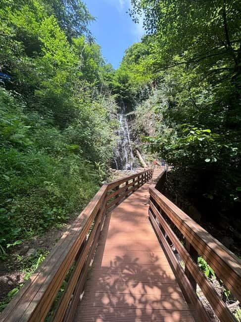 Full Day Tour from Batumi to Waterfalls - Who Should Consider This Tour?