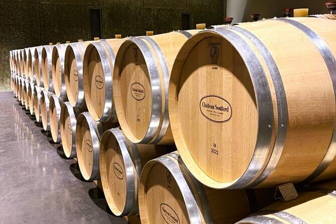 Full Day Tour Saint Emilion with lunch two Chateaux and Village - Practical Details That Matter