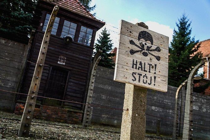 Full day tour to Auschwitz-Birkenau and Salt Mine with a local guide from Krakow - Analyzing the Experience for Different Types of Travelers