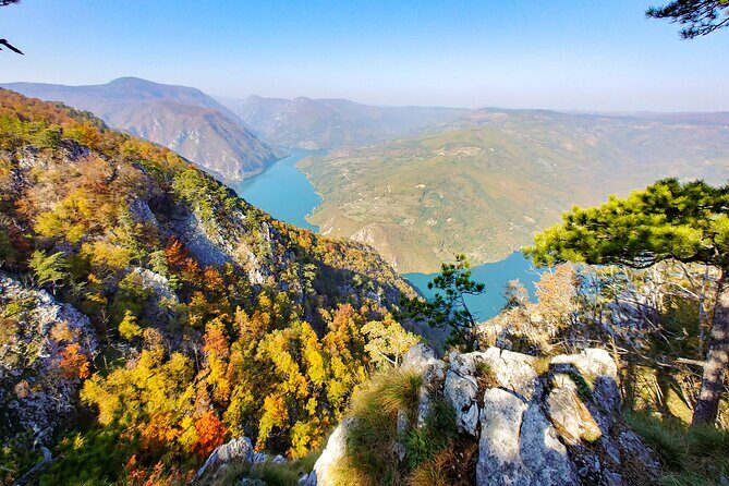 Full Day Trip from Belgrade: The Drina River House And Tara Park Tour - Is This Tour Worth It?